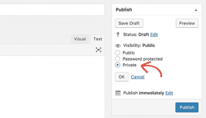 Easy Ways to Create a Private Post in WordPress - Make a Post Private ...