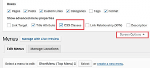 How To Create A Custom Wordpress Navigation Menu With CSS? Best Guide 2023