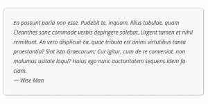 11 Best Ways To Customize Blockquote CSS in WordPress?